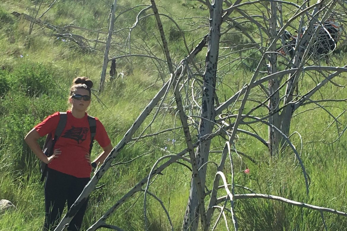 STAR TOWING – STAR TOWING